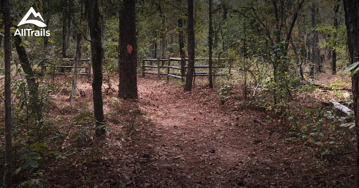 Best hikes and trails in Blackville | AllTrails