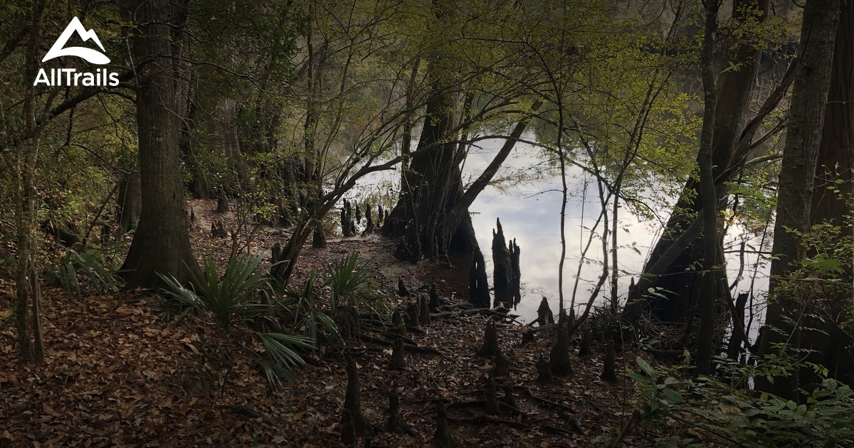 Best hikes and trails in Canadys | AllTrails