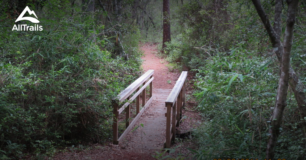 Best hikes and trails in Cassatt | AllTrails