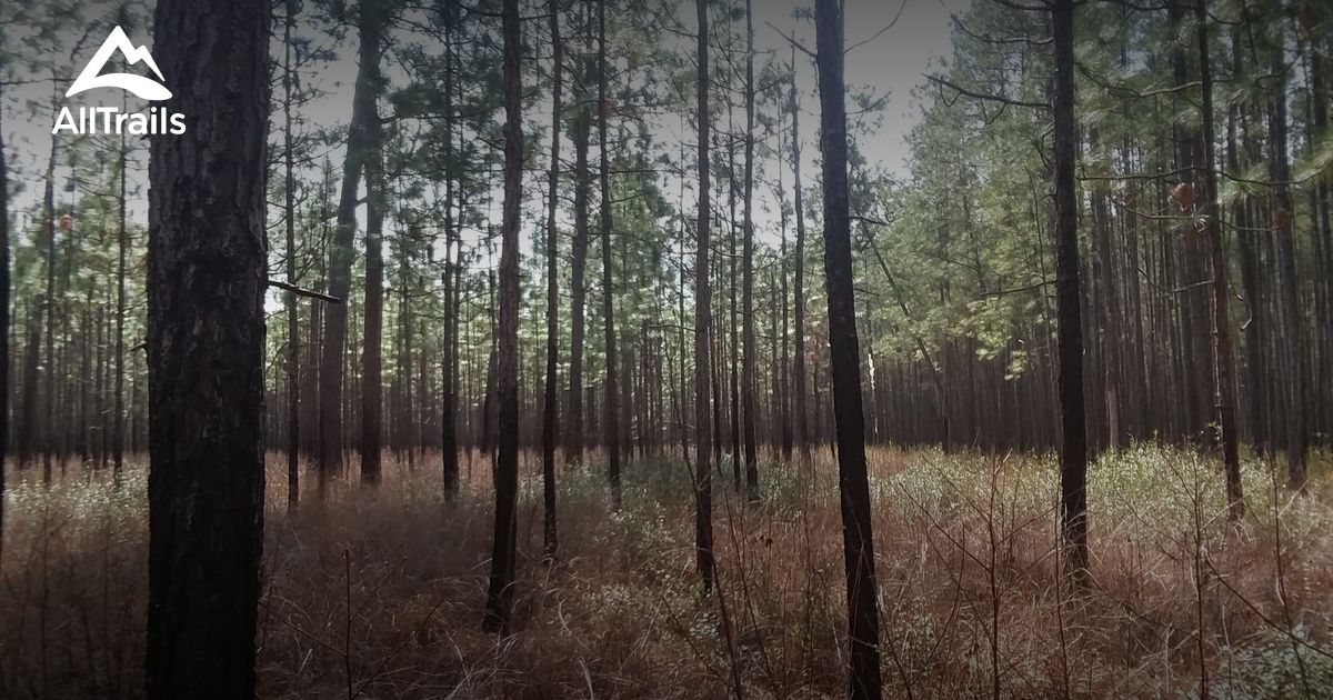 Best trail running trails in Cordesville | AllTrails