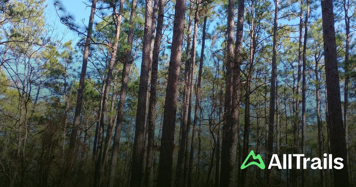 Best hikes and trails in Fork | AllTrails