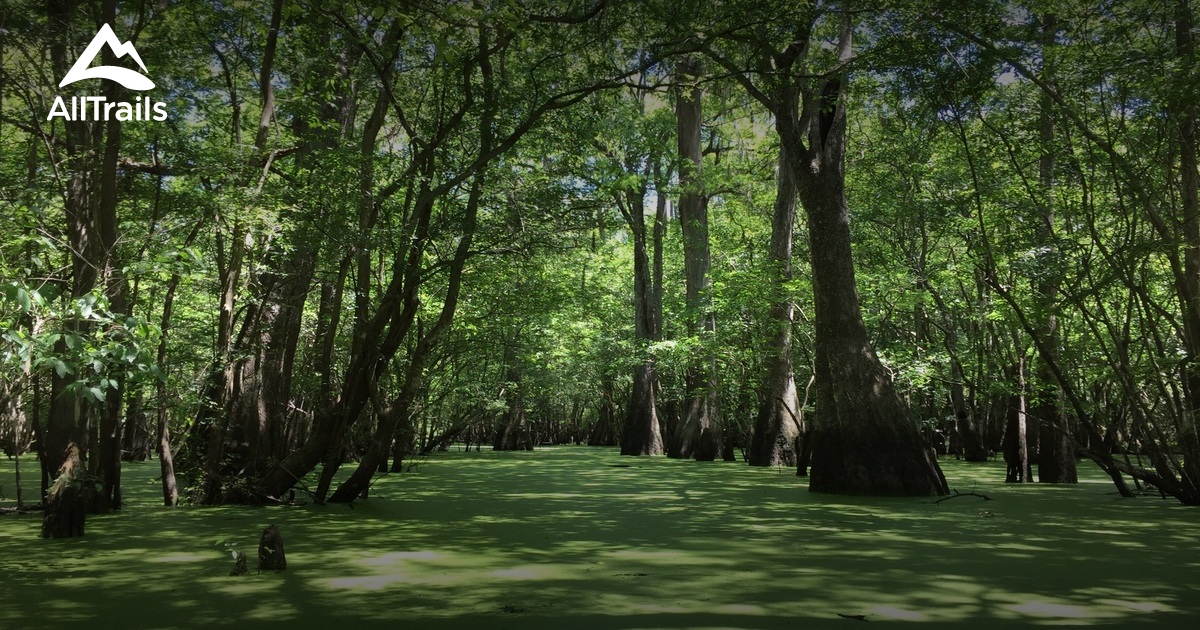 Best dog-friendly trails in Garnett | AllTrails