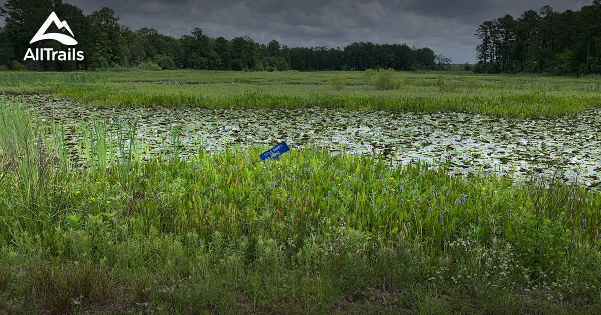 Best forest trails in Hanahan | AllTrails