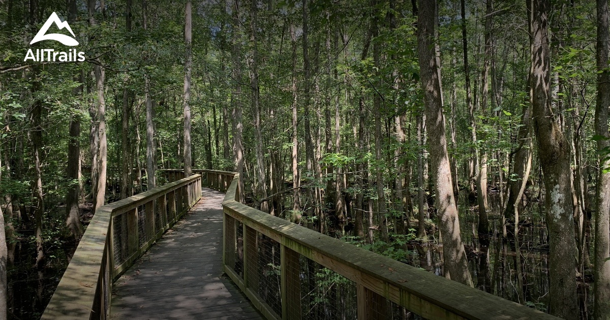 Best hikes and trails in Hopkins | AllTrails