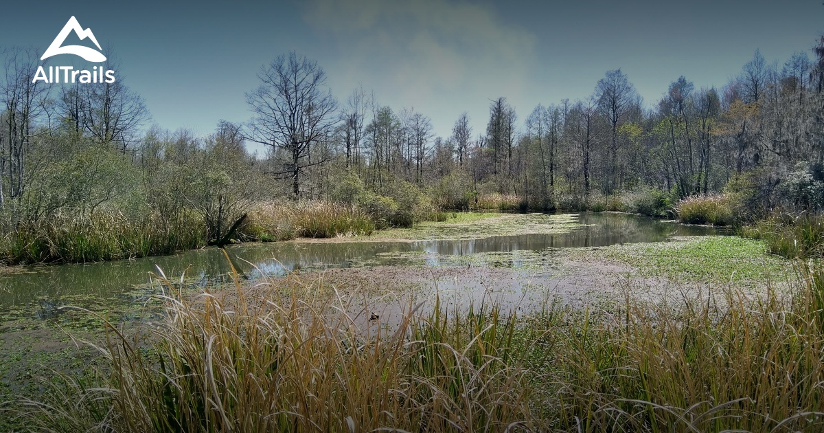 Best Trails near Moncks Corner, South Carolina | AllTrails