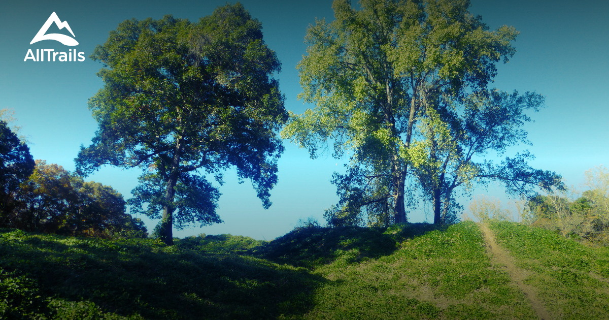 De beste routes langs meren in Pauline | AllTrails