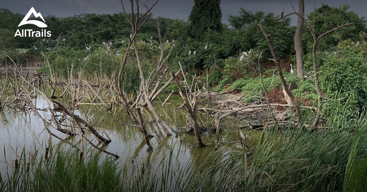 Best hikes and trails in Pickney Island | AllTrails