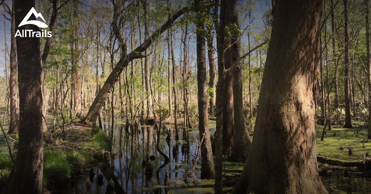 Best hikes and trails in Ravenel | AllTrails