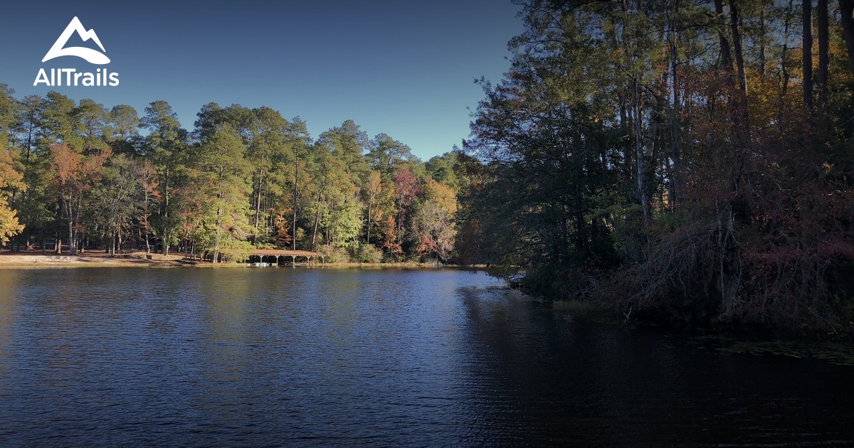 Best bird watching trails in Wedgefield | AllTrails