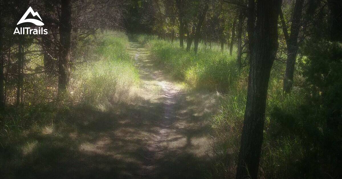 Best forest trails in Aberdeen | AllTrails