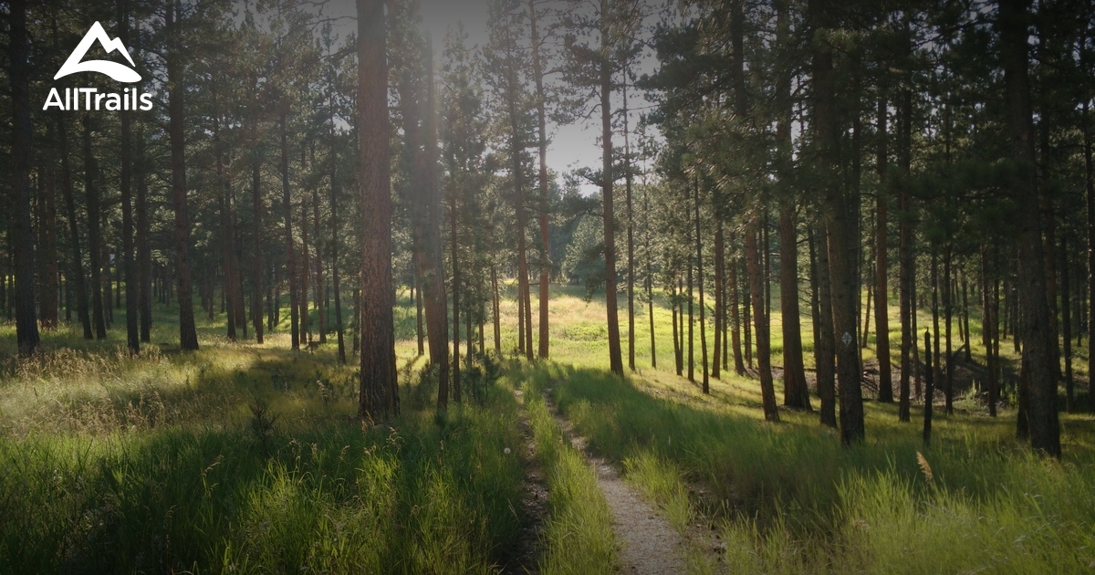 Best hikes and trails in Nemo | AllTrails