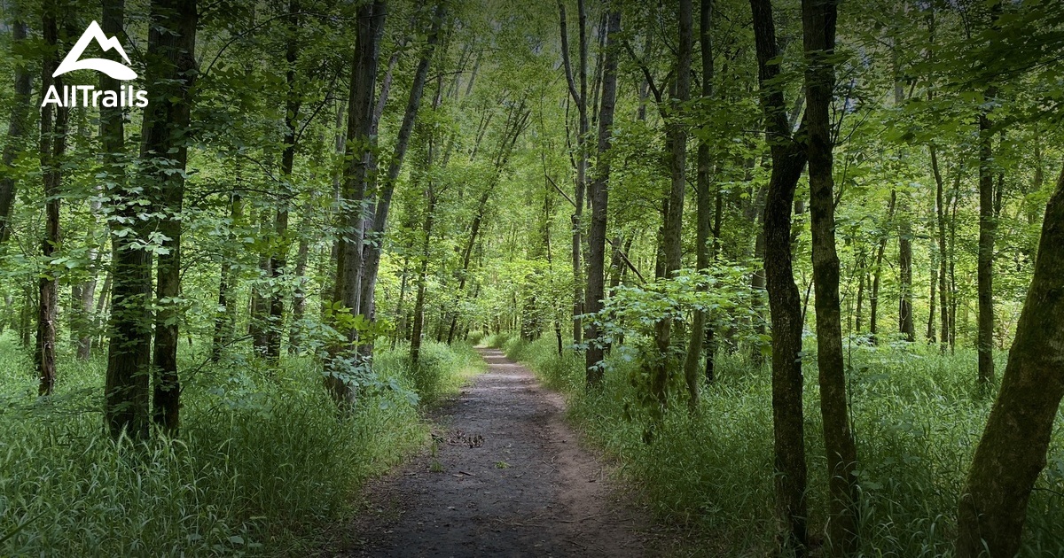 Best Trails near Adams, Tennessee | AllTrails