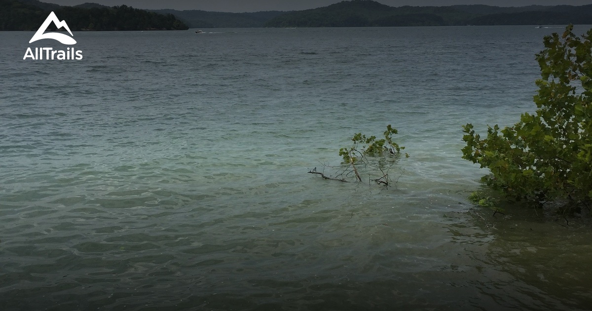 Best hikes and trails in Allons | AllTrails