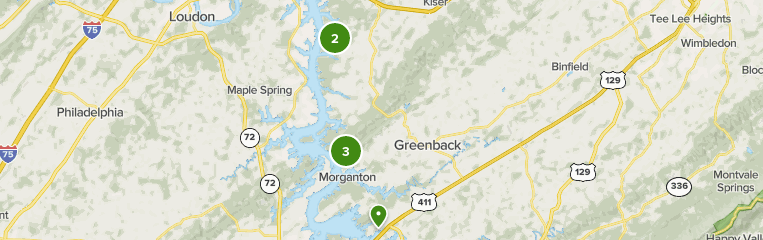 Best trails in Greenback, Tennessee | AllTrails