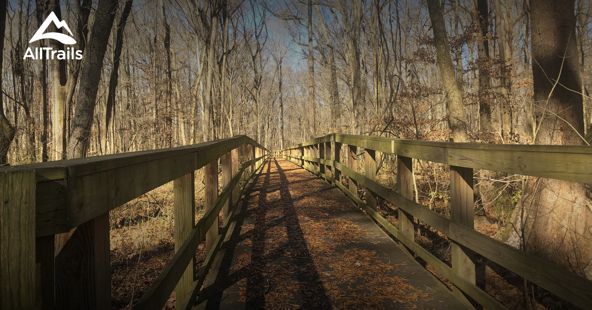 Best forest trails in Greenfield | AllTrails