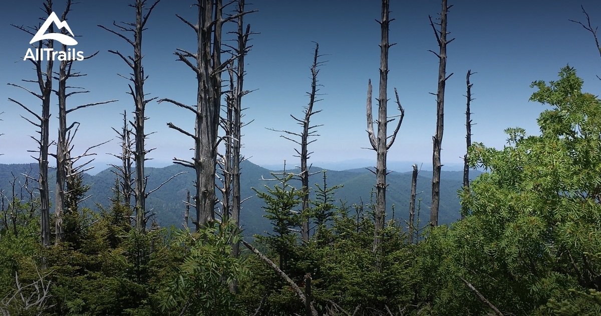 Best Trails near Hartford, Tennessee | AllTrails