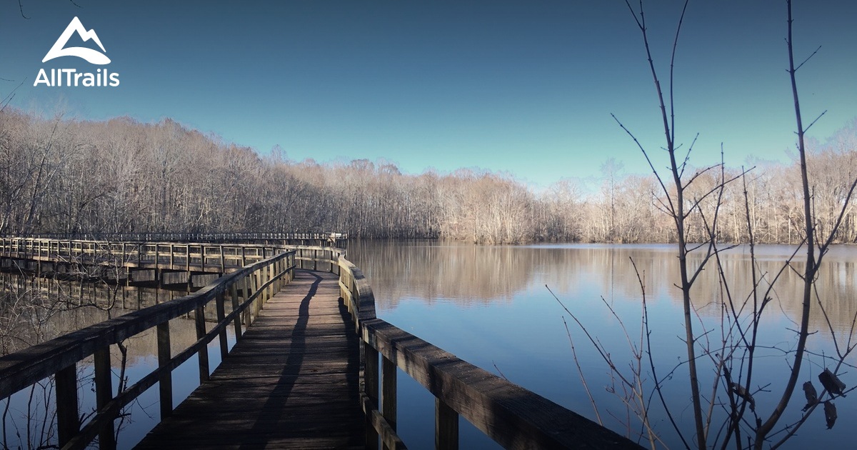 Los mejores senderos aptos para niños en Jackson | AllTrails