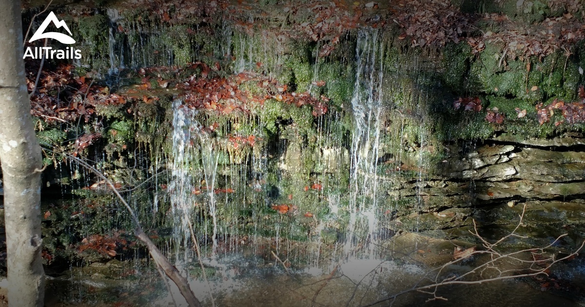 Best Trails near Lafayette, Tennessee | AllTrails