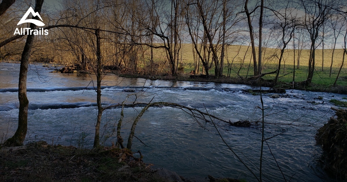 Best hikes and trails in Limestone | AllTrails