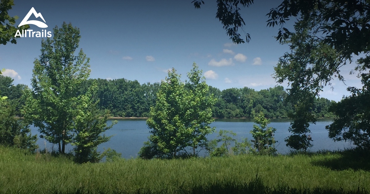 Best forest trails in Linden | AllTrails