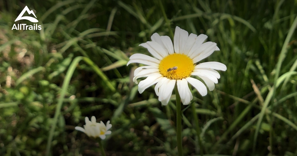 Best hikes and trails in Monteagle | AllTrails