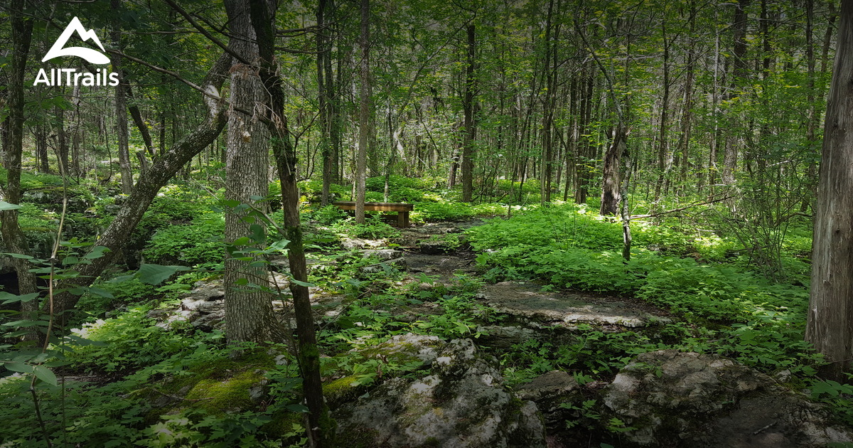 10 Best trails and hikes in Murfreesboro | AllTrails