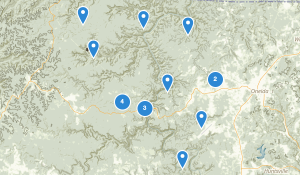 Best Trails near Oneida, Tennessee | AllTrails.com