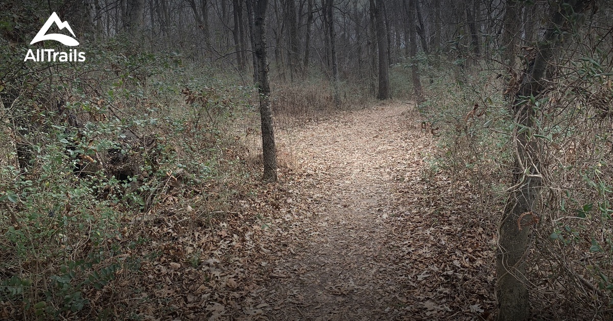 Best hikes and trails in Portland | AllTrails