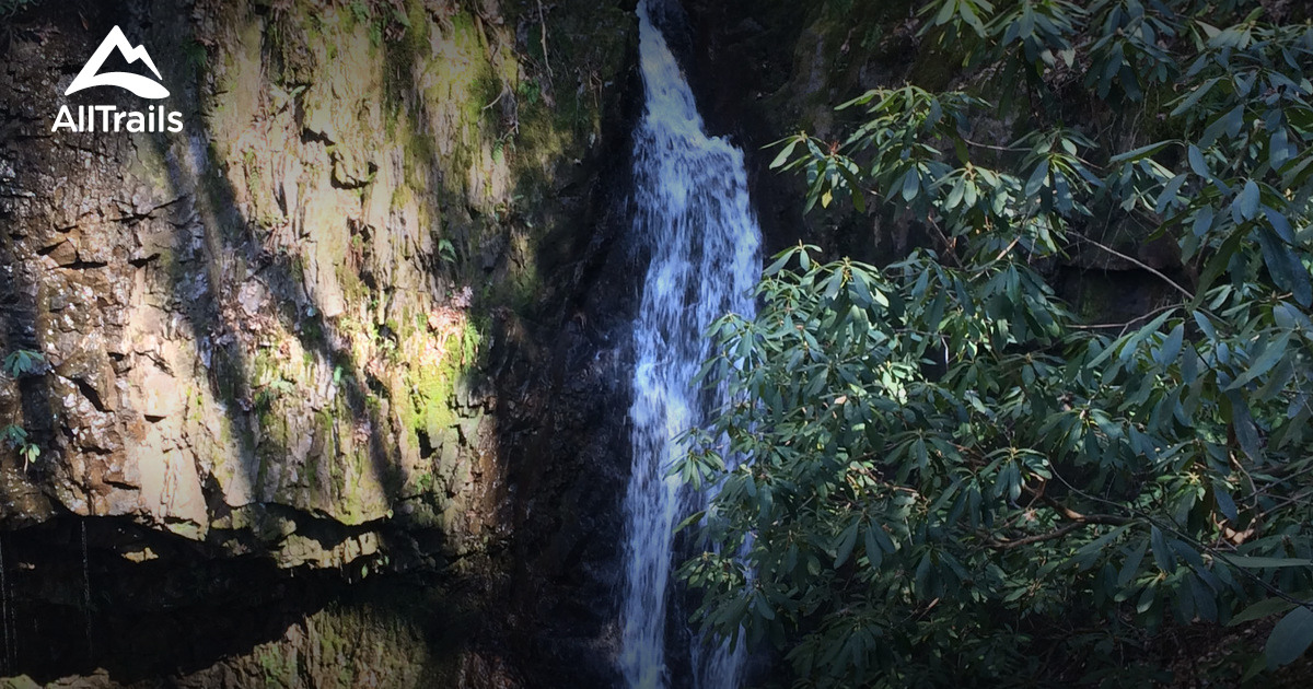 10 Best trails and hikes in Shady Valley | AllTrails