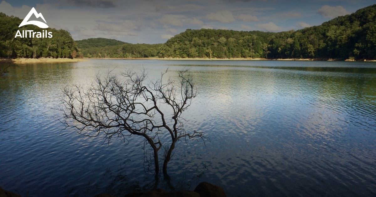 Best walking trails in Talbott | AllTrails