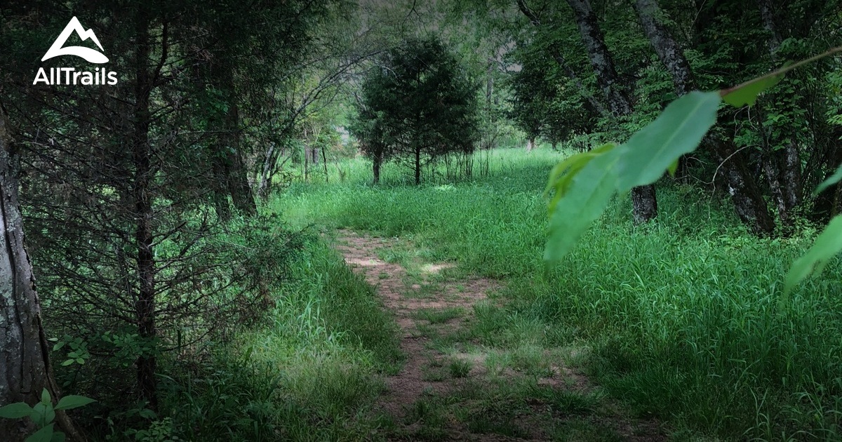 Best Trails near Vonore, Tennessee | AllTrails