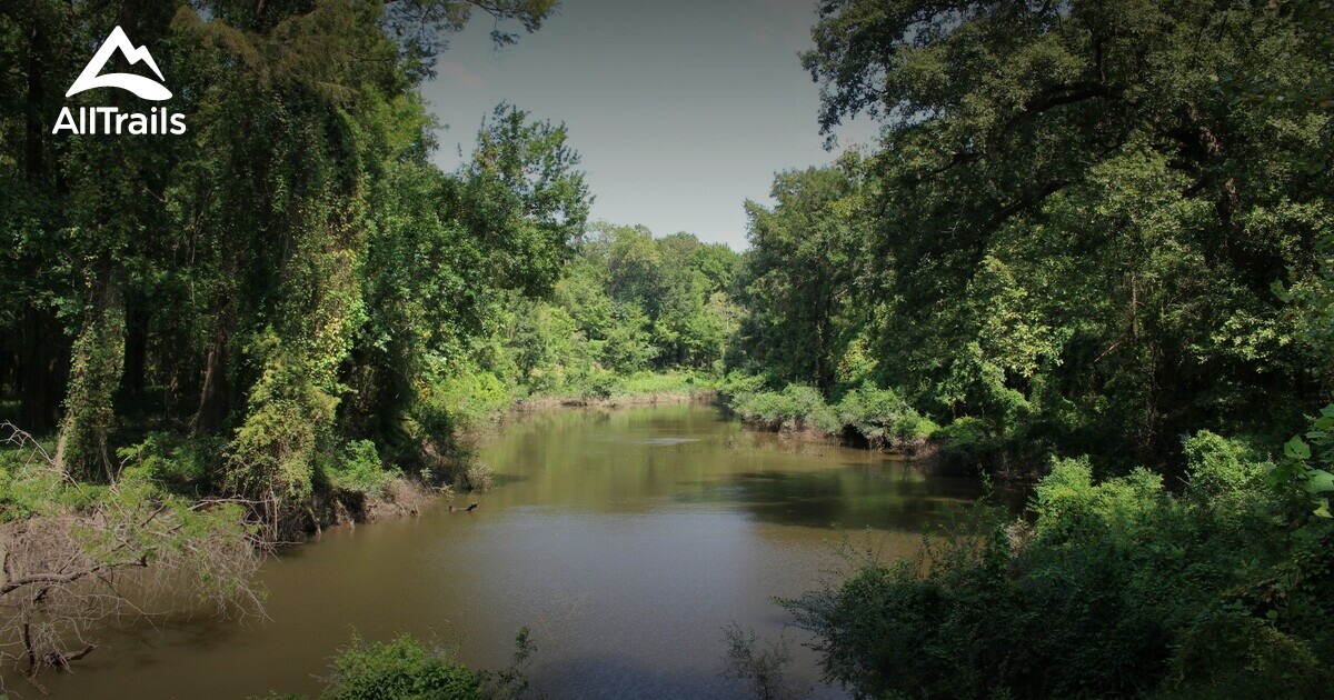 Best hikes and trails in Ace | AllTrails