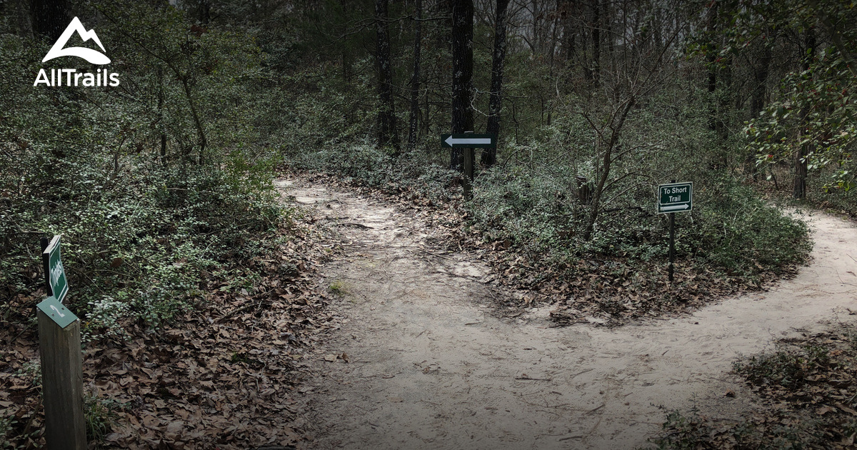 Best forest trails in Athens | AllTrails