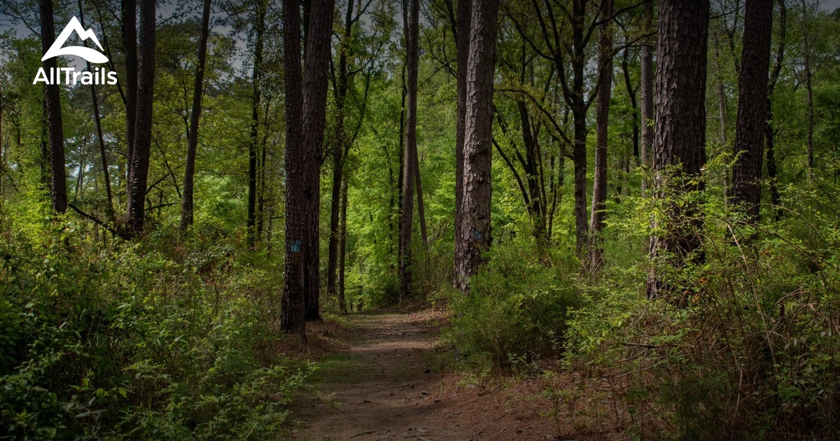 Best forest trails in Atlanta | AllTrails