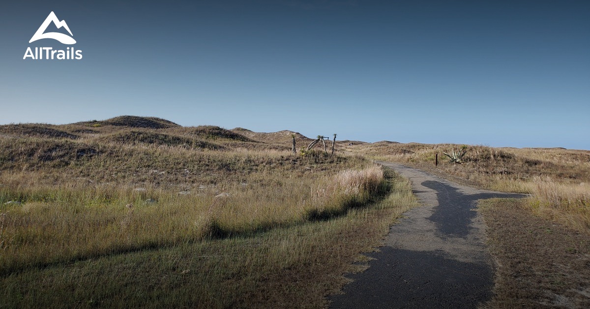 2023 Best Dogs On Leash Trails in Chapman Ranch | AllTrails