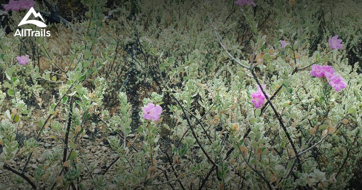 Best lake trails in Del Rio | AllTrails