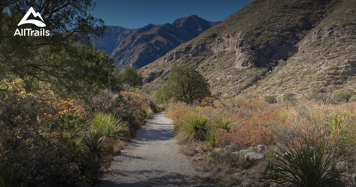 Best hikes and trails in Dell City | AllTrails