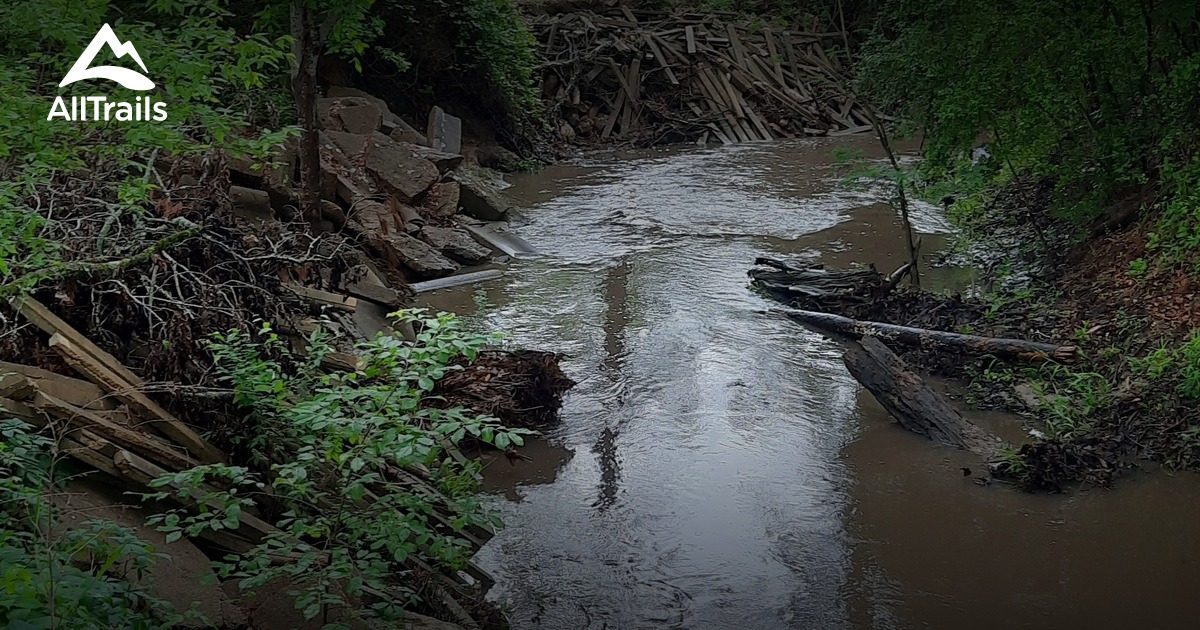 Best hikes and trails in Diboll | AllTrails