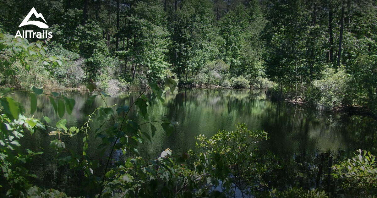 Best hikes and trails in Grapeland | AllTrails