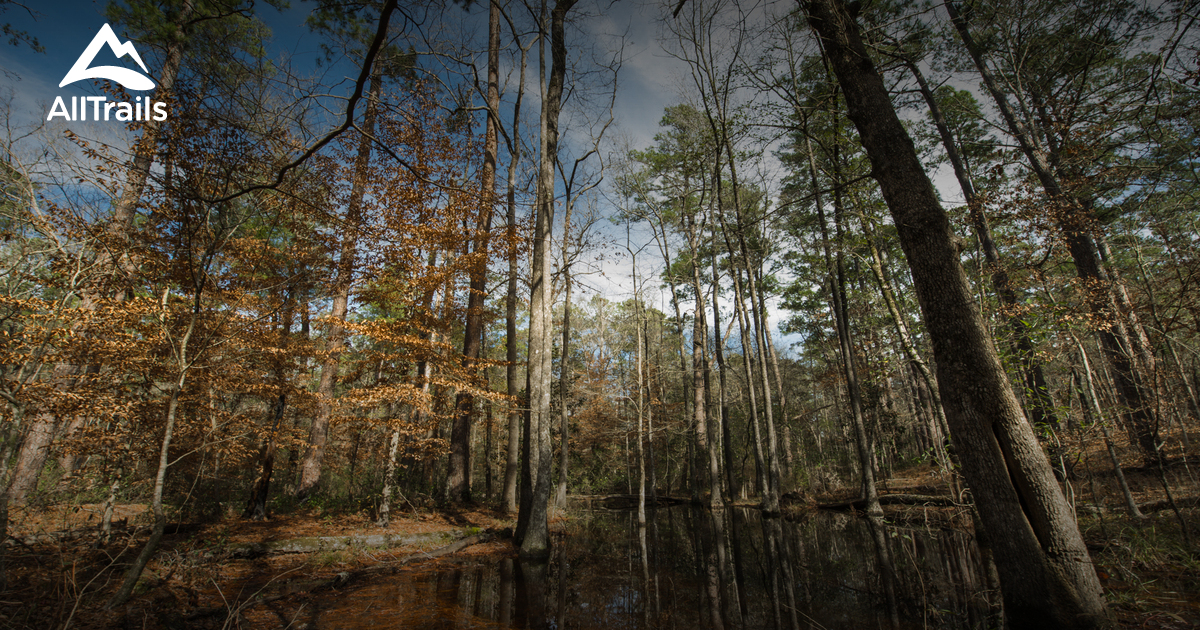 10 Best trails and hikes in Jasper | AllTrails