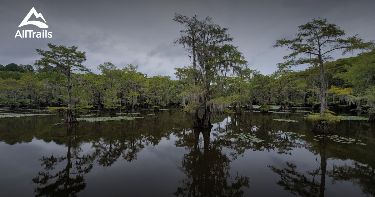 Best forest trails in Karnack | AllTrails