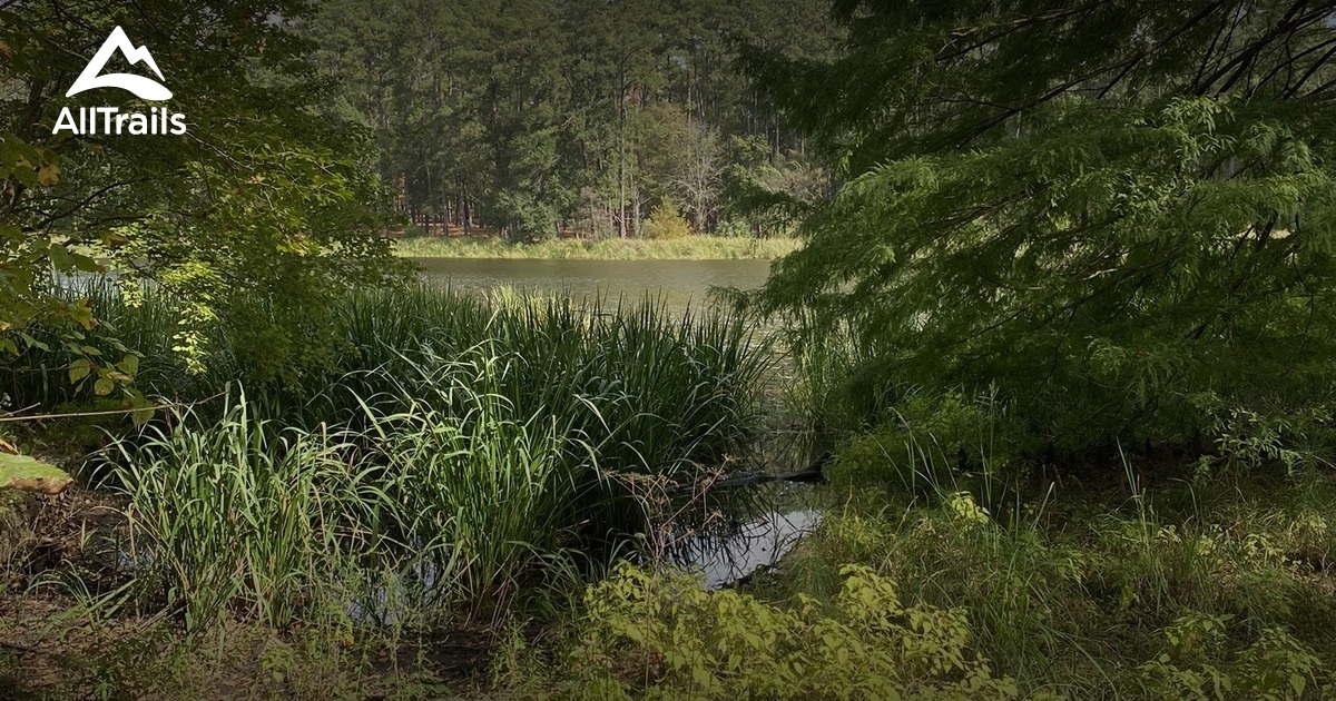 Best hikes and trails in Kennard | AllTrails