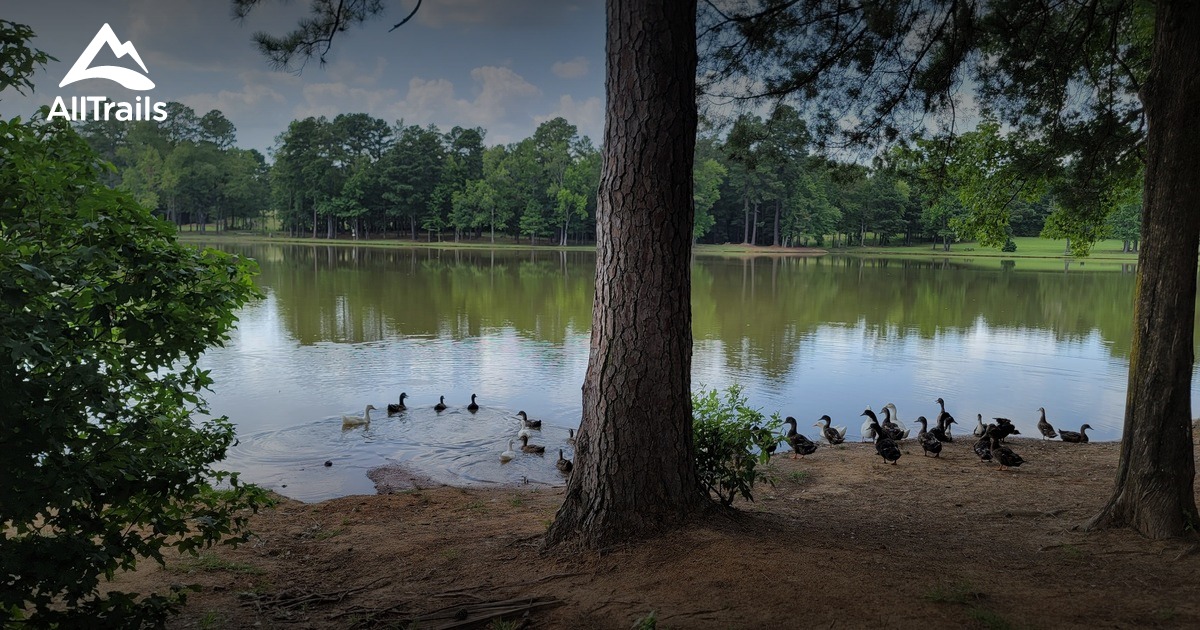 Best hikes and trails in Longview | AllTrails