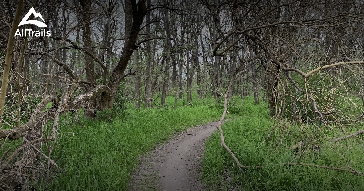 Best forest trails in Rowlett | AllTrails