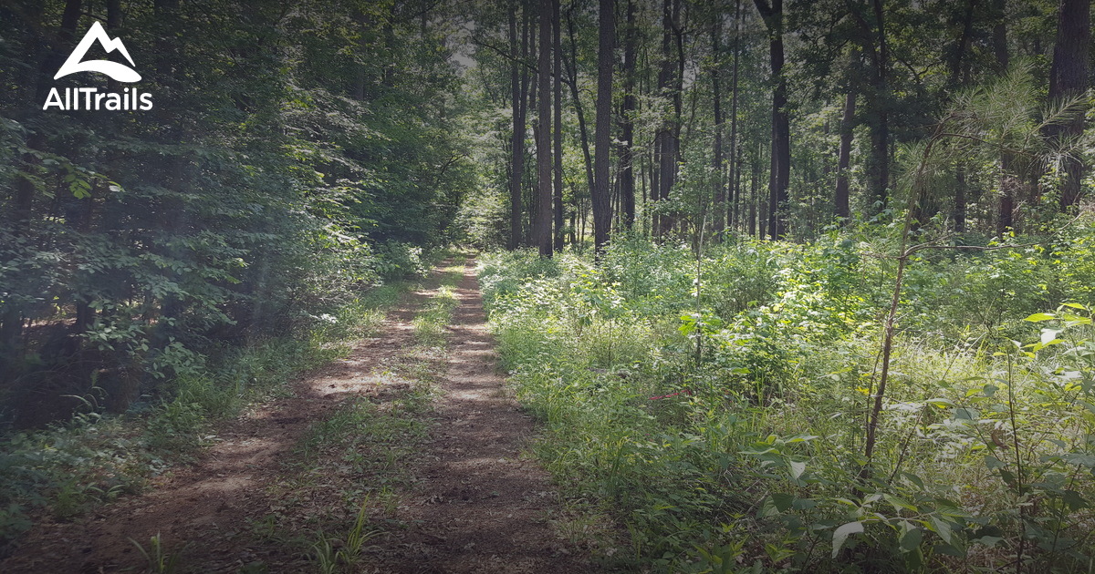 Best forest trails in Rusk | AllTrails