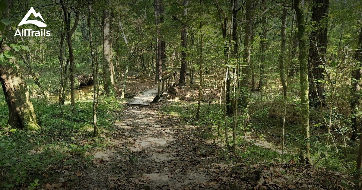 Best hikes and trails in Shepherd | AllTrails