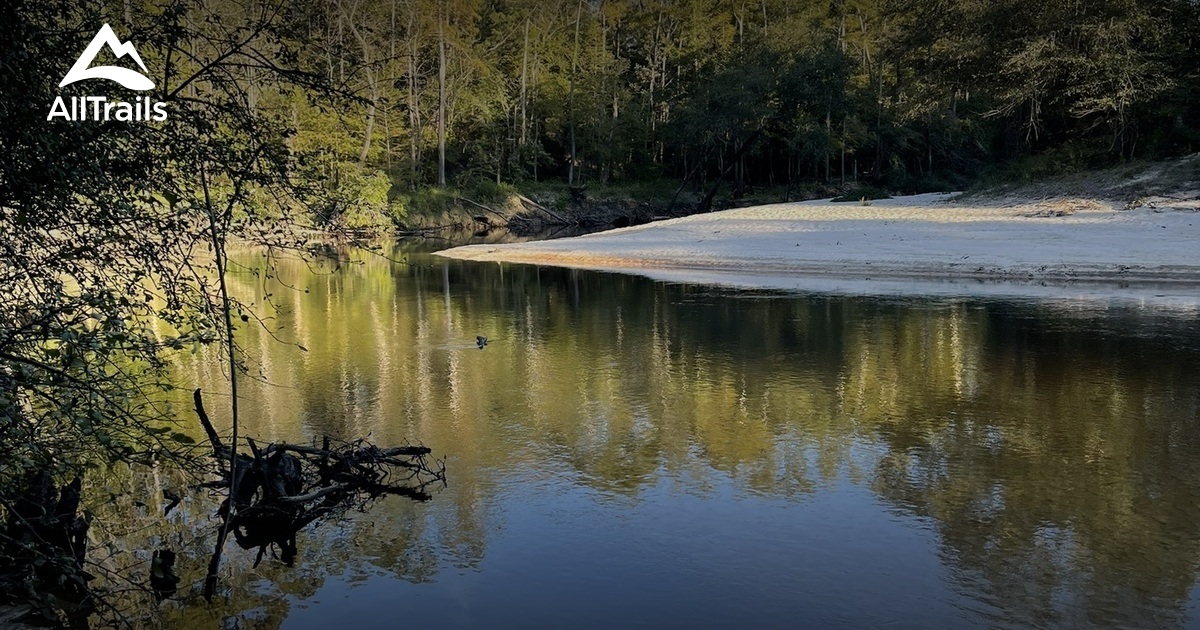 Best walking trails in Silsbee | AllTrails