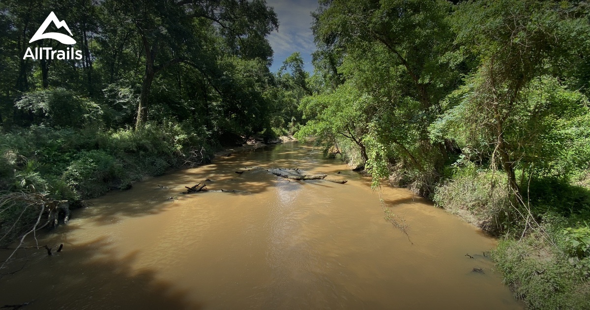 10 Best road biking trails in Spring | AllTrails