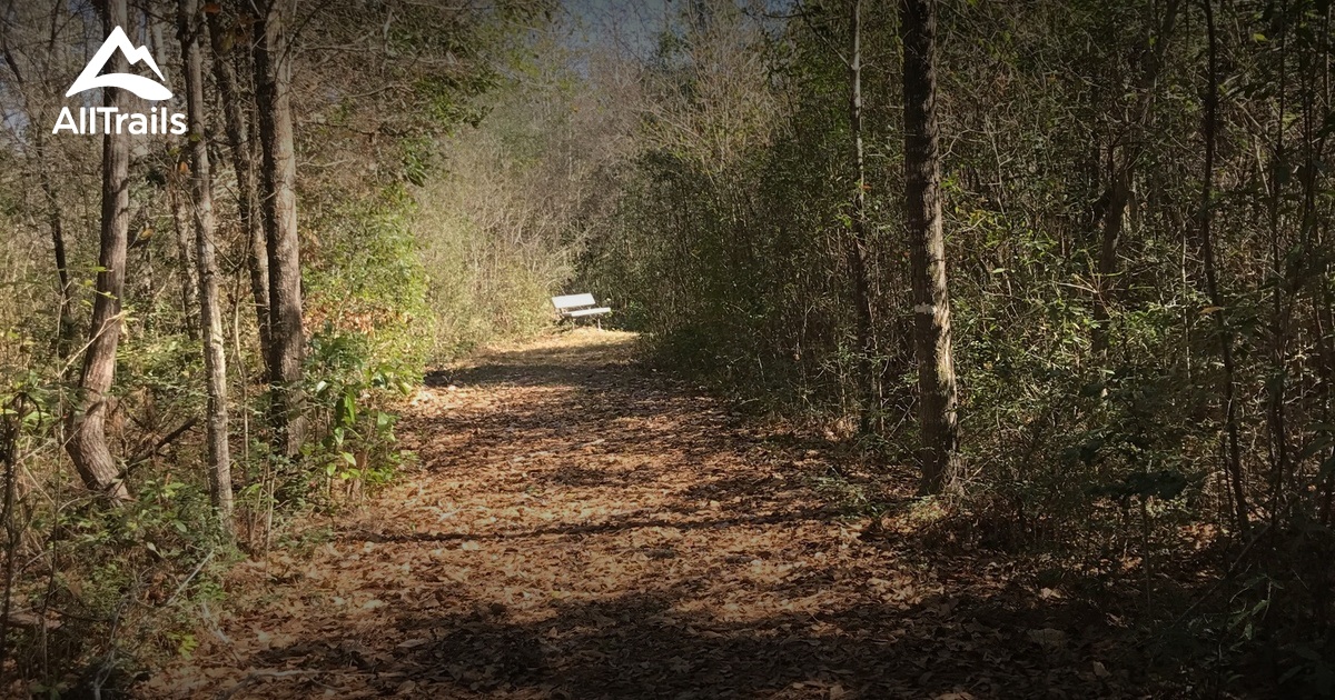 Best hikes and trails in Spurger | AllTrails