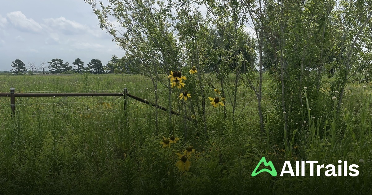 Best trail running trails in Waller | AllTrails